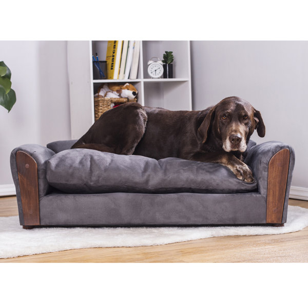 Tucker Murphy Pet™ Katonah VIP Dog Sofa & Reviews | Wayfair